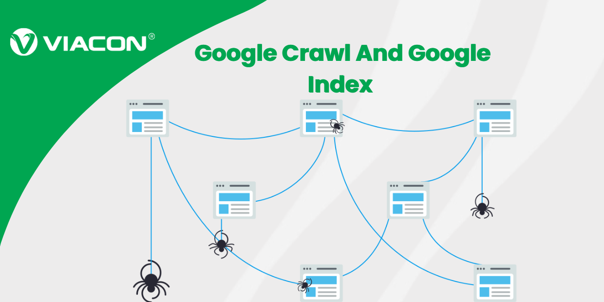 A Beginner’s Guide to Google Crawl and Google Index