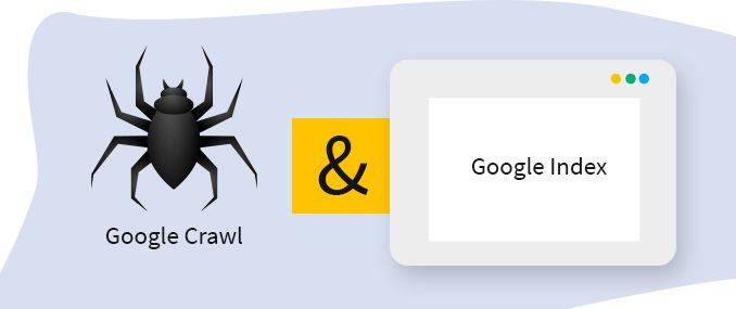 A Beginner’s Guide to Google Crawl and Google Index